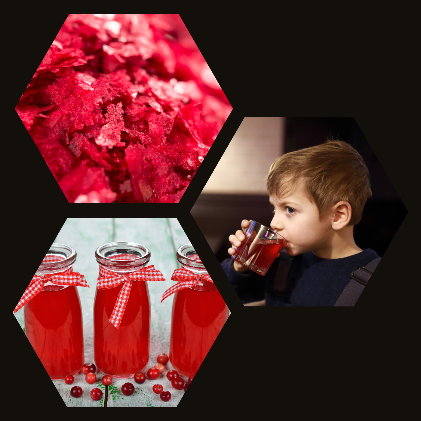 Organic Cranberry Gentle Dried™ into Essential Crystalline Form ...